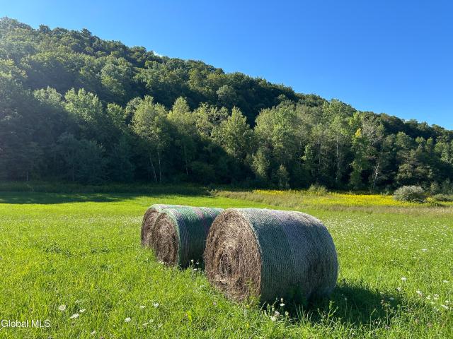 711 Gifford Hollow Road