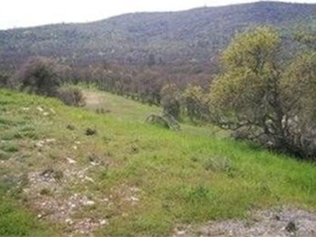 711 Hawkridge Rd, Copperopolis, CA 95228