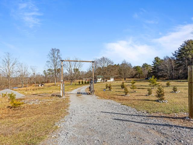 711 Lick Point Road