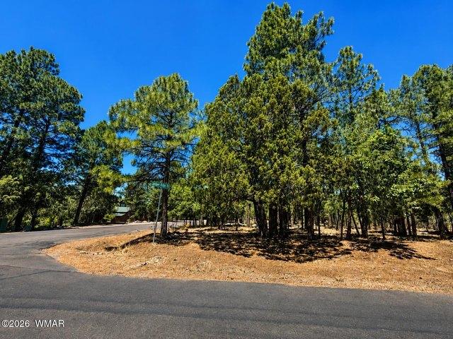 711 Pine Creek Dr, Lakeside, AZ 85929