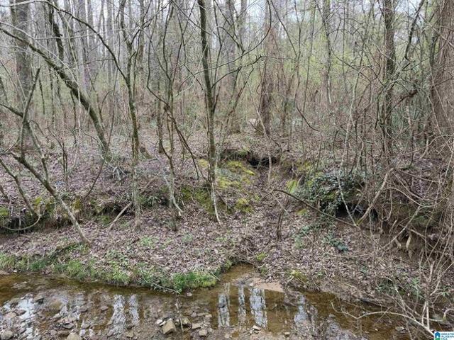 711 Westwood Dr Lot 0, Warrior, AL 35180