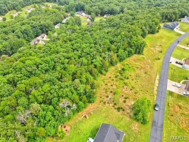 712 Red Clover Dr, Cedar Hill, MO 63016