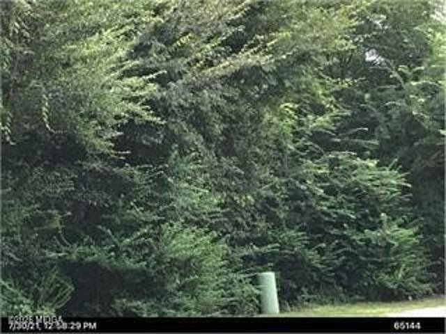 7136 Wimpy Rd Lot 55, Macon, GA 31216