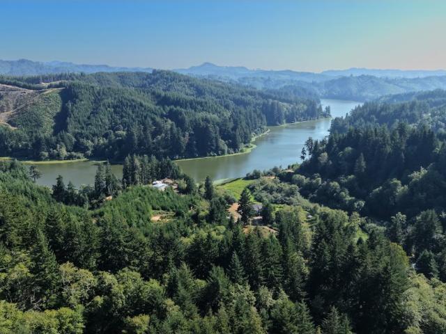 71399 heavy horse rd