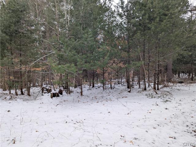 7131 Maple Dr, Watson, NY 13343 | MLS #S1672