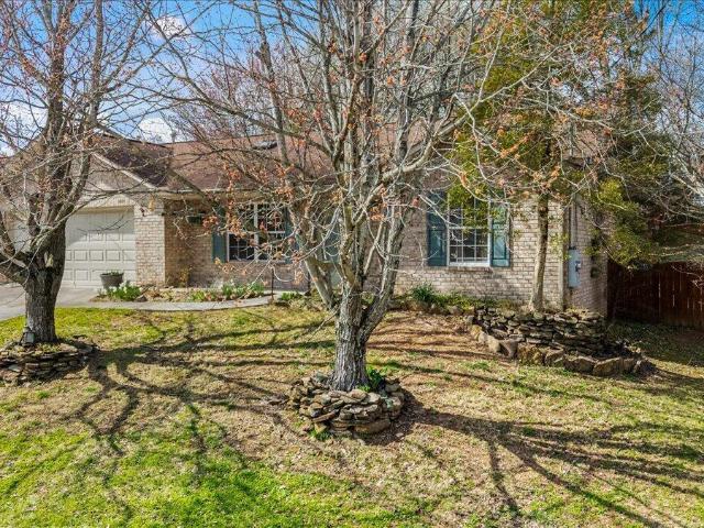 7133 Alice Springs Lane