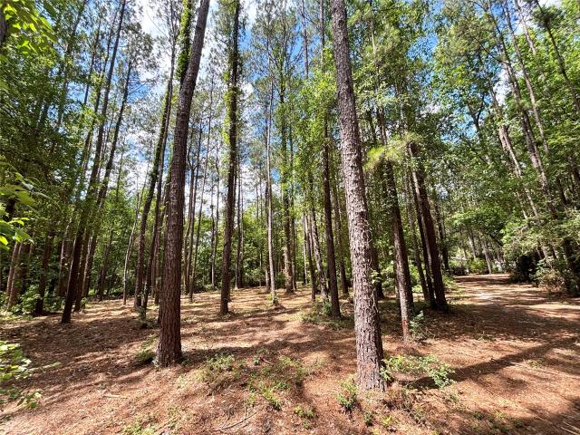 713 County Road 4525