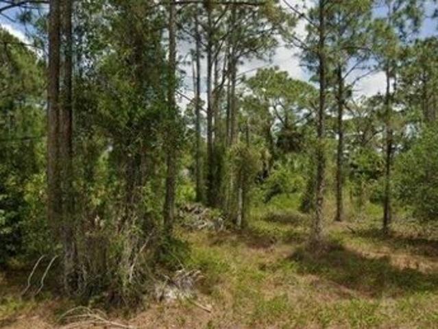 713 Clemwood Ave S Lot 10, Lehigh Acres, FL 33974