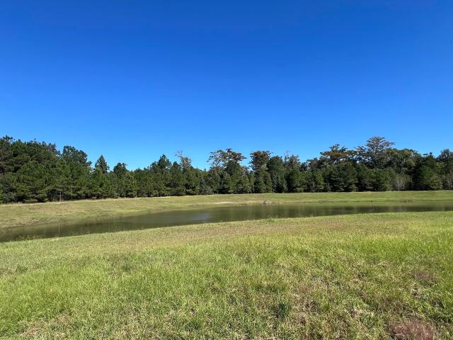 713 Edgeside Dr SE, Bolivia, NC 28422 | MLS #100538