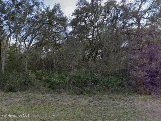 7149 Alloy St, Webster, FL 33597