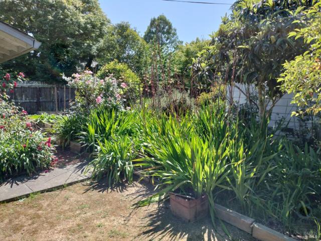 7149 Lynch Rd, Sebastopol, CA 95472 | MLS #326029
