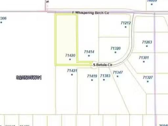 71420 S BETULA CIR, WILLOW, AK 99688 Vacant Land For Sale MLS.