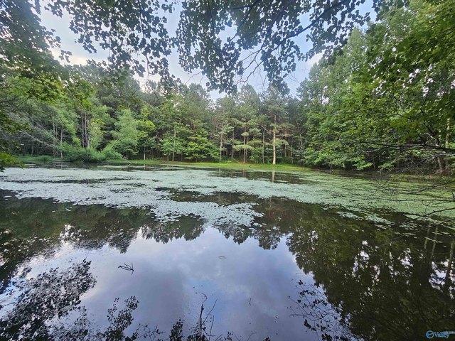 714 County Road 72, Mentone, AL 35984