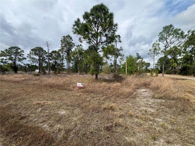 714 Giorgio Ave, Lehigh Acres, FL 33974 | MLS #A11961