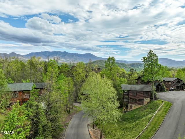 714 Mountain Stream Way 17