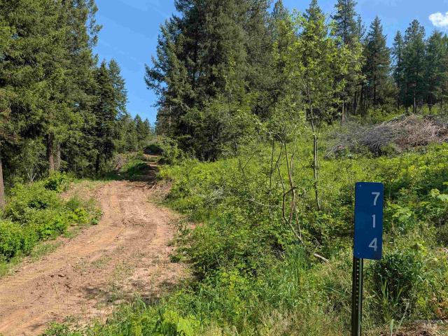 714 Mountain Top Drive #3