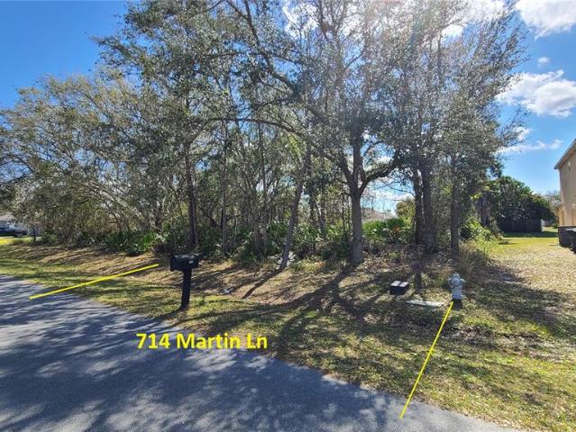 714 Martin Ln, Kissimmee, FL 34759 | MLS #S5126