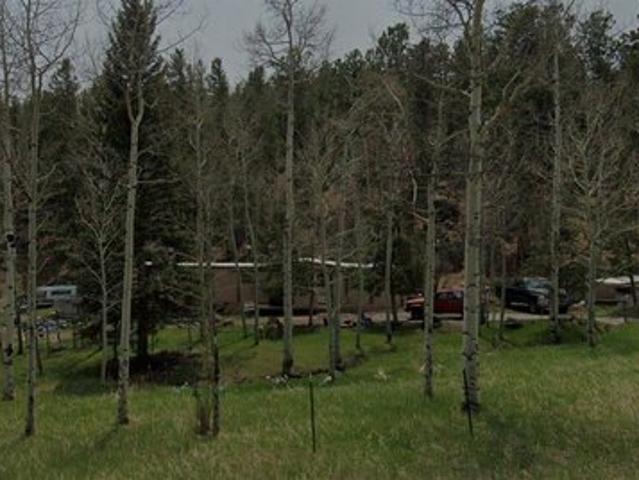 714 N Pine Dr, Bailey, CO 80421