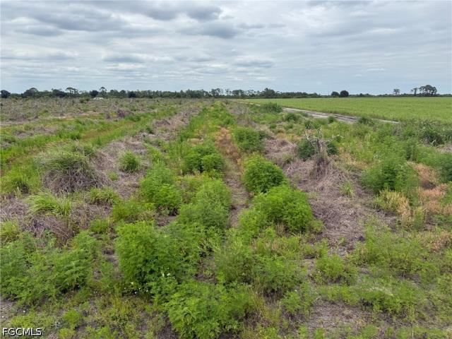 7156 6th Rd, LaBelle, FL 33935 | MLS #2026018