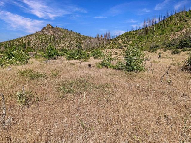7150 Diamond Mountain Rd, Taylorsville, CA 95983 | MLS #20250