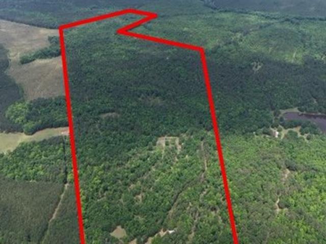 715 Fulsome Creek Rd, Sparta, GA 31087