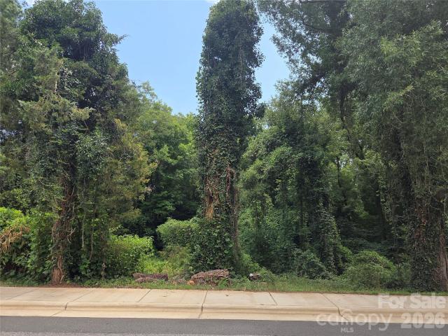 715 Old Charlotte Road SW