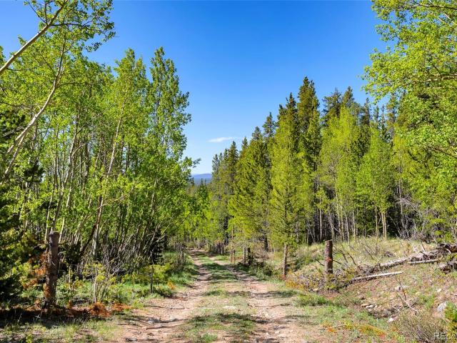 715 Lewsader Rd, Alma, CO 80420 | MLS #8055