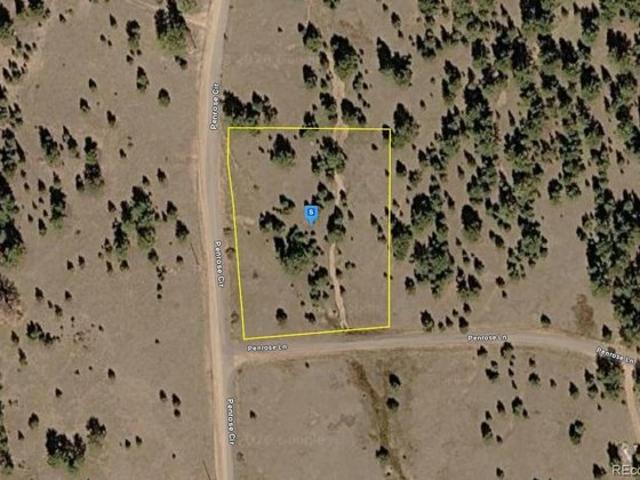 715 Penrose Cir, Florissant, CO 80816