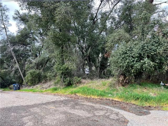 7166 Butte, Nice, CA 95464 | MLS #LC26032