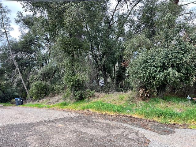 7166 Butte Ct, Nice, CA 95464 | MLS #LC26032