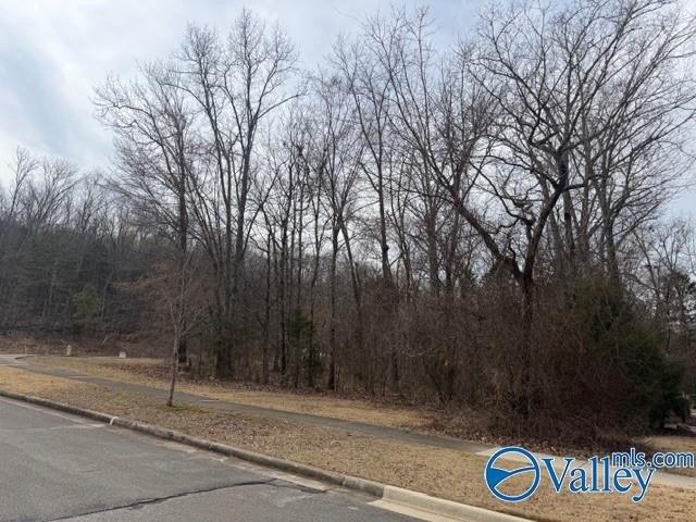 716 Marina Park Dr SE, Huntsville, AL 35803