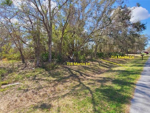 716 Martin Ln, Kissimmee, FL 34759 | MLS #S5126 | Compass