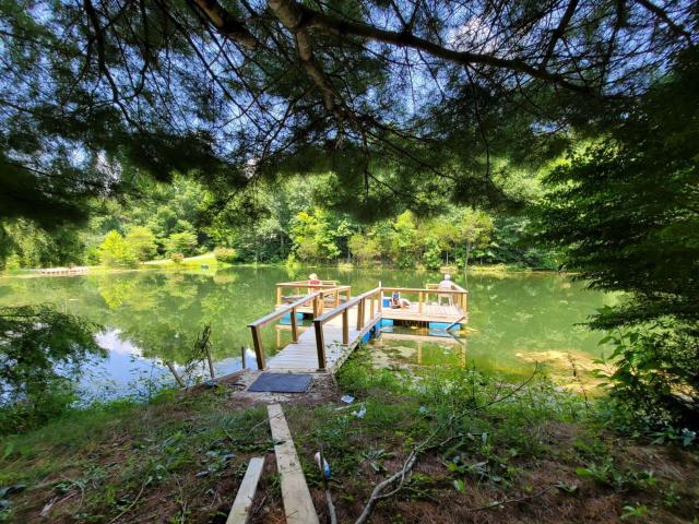 716 Renfro Creek Road