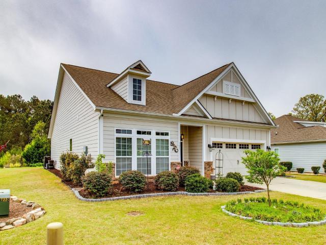 717 Carolina Aster