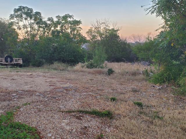 717 Dittlinger St, New Braunfels, TX 78130 | MLS #1915 | Compass
