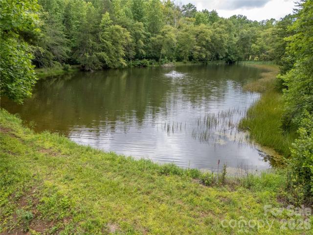 717 Frog Creek Road