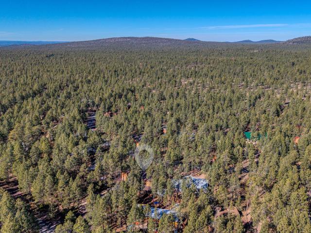 7185 Moon Creek Cir, Pinetop, AZ 85935 | MLS #6953