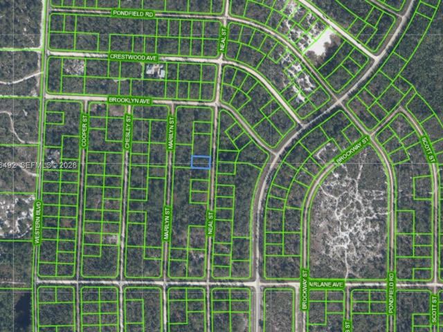 718 Neale St, Lake Placid, FL 33852 | MLS #A11976