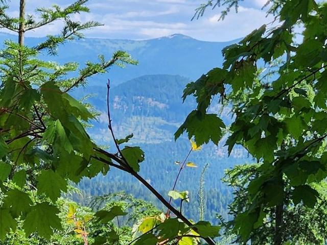 718 Slippery Slope Trl Lot 1, Priest River, ID 83856