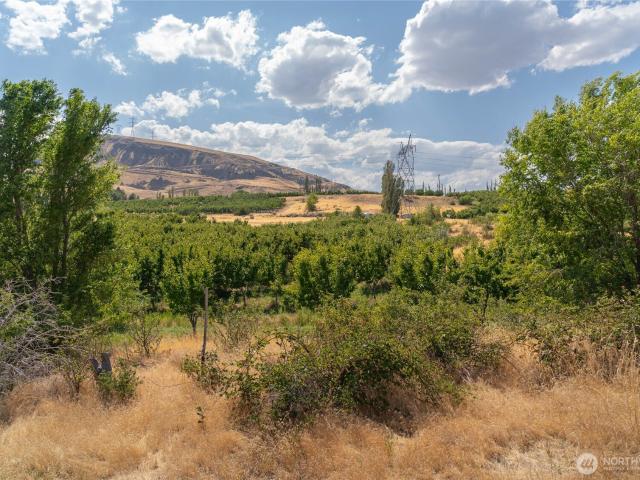 7199 Lot 6 Tarpiscan Road