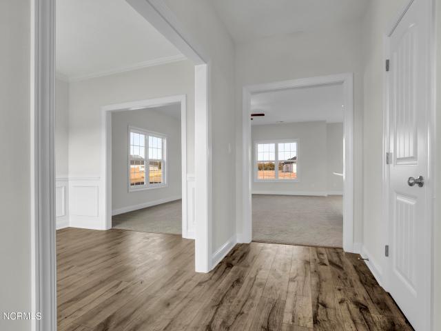 719 Puppy Drum Lane