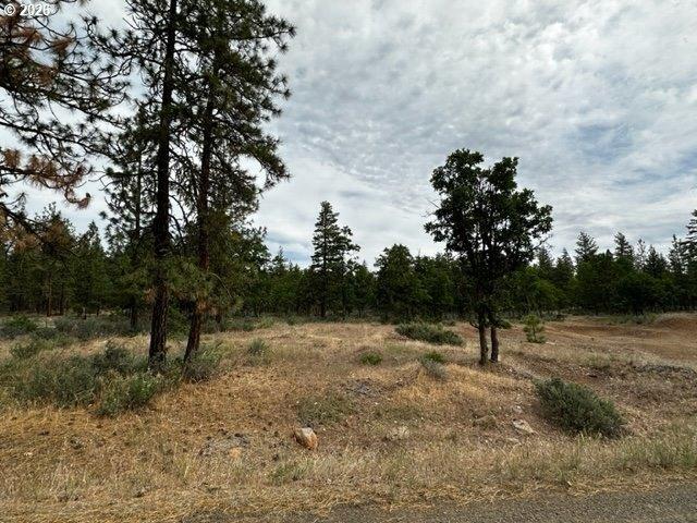 71 Teal Ln, Goldendale, WA 98620
