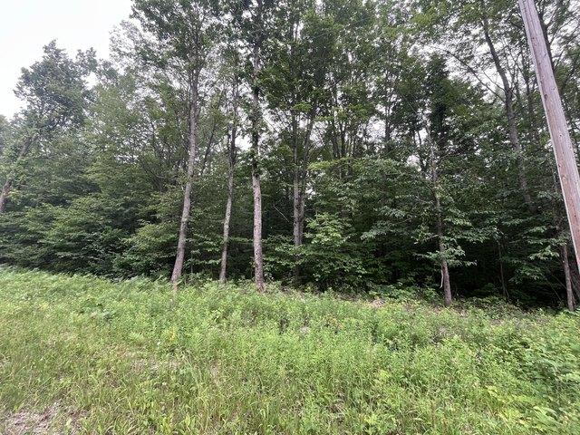 71 Valleyway Dr, Elmira, MI 49730