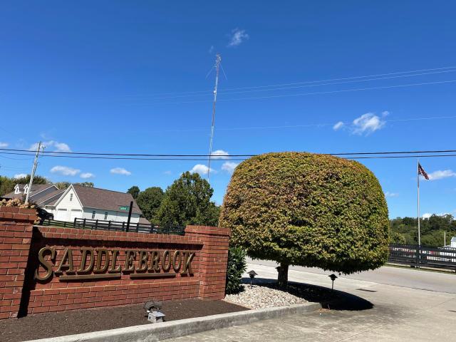 71 W Saddlebrook Drive