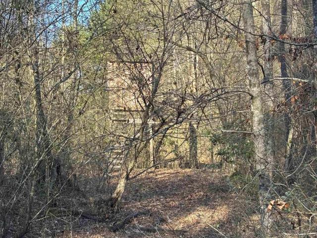 71 ACRE Grant 167031
