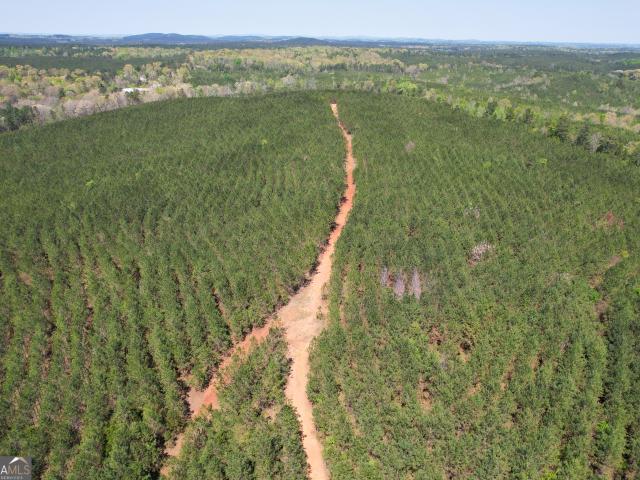 71 +/ Acres on US Hwy 278