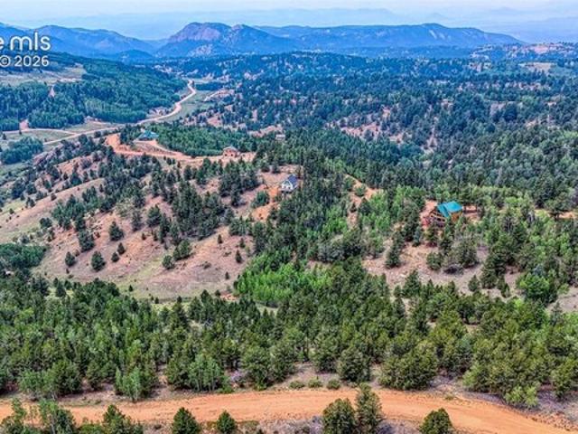 71 Brown Bear Ln, Cripple Creek, CO 80813