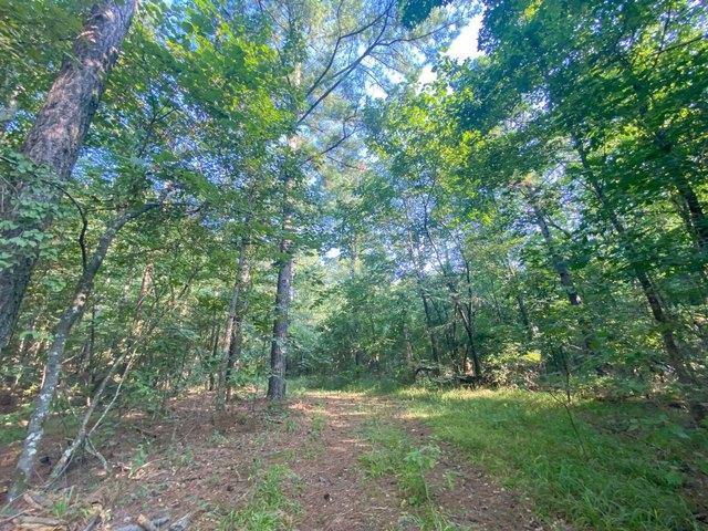 71 Eagle Pine Ln, Broken Bow, OK 74728