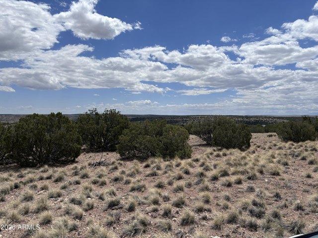 71 Gila Dr Unit 1, Concho, AZ 85924