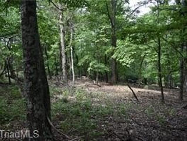 71 Grandview Dr, Traphill, NC 28685